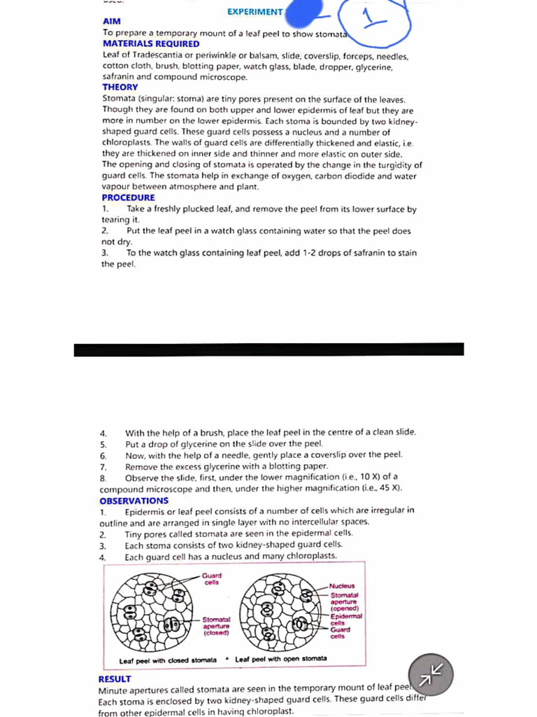 Gr- 10 bio practical | PDF