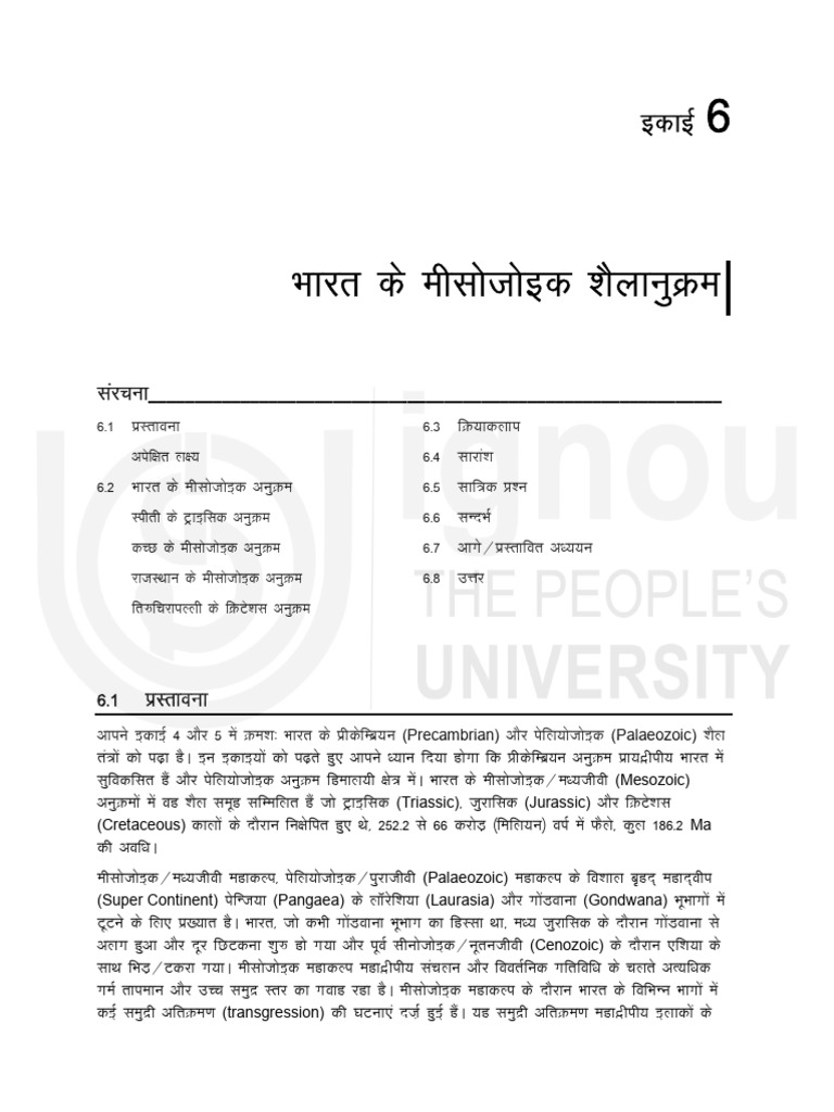 Unit 6 | PDF