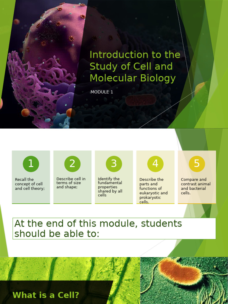 Cell and Molecular Biology Basics | PDF | Cell (Biology) | Endoplasmic ...