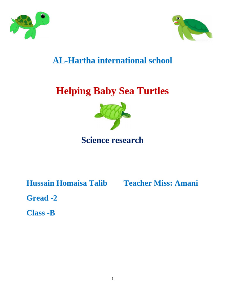 Helping Baby Sea Turtles | PDF