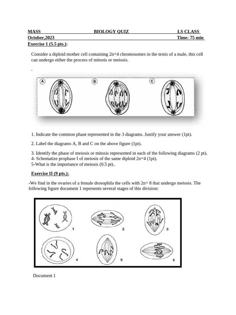First quiz-LS-MEIOSI-REPROD-2024 | PDF | Meiosis | Biological Processes