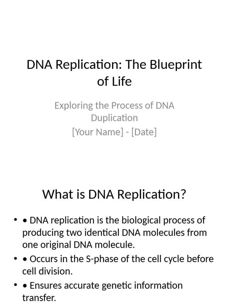 DNA Replication Presentation | PDF