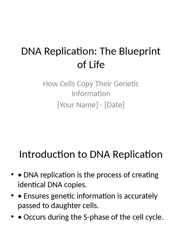 DNA Replication Presentation 7 Slides | PDF