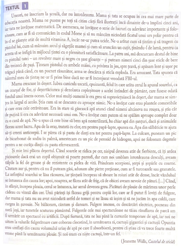 Test Caracterizare | PDF