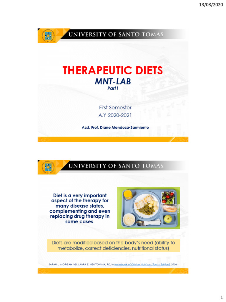 Therapeutic Diet 1 Pdf Dietary Fiber Diet Nutrition