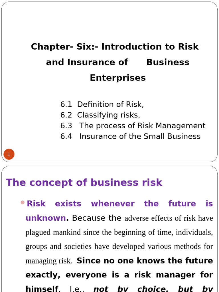 CH - 6 Risk and Insurance in Business | PDF | Risk | Insurance