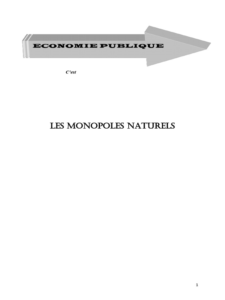 Monopoles Naturels : Concepts et Régulation | PDF | Monopole | Offre et ...