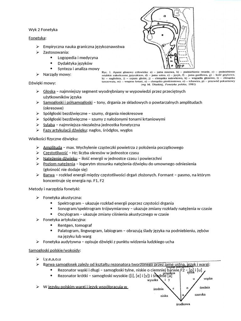 Wyk 2 Artykulacja, Klasyfikacja Głosek | PDF