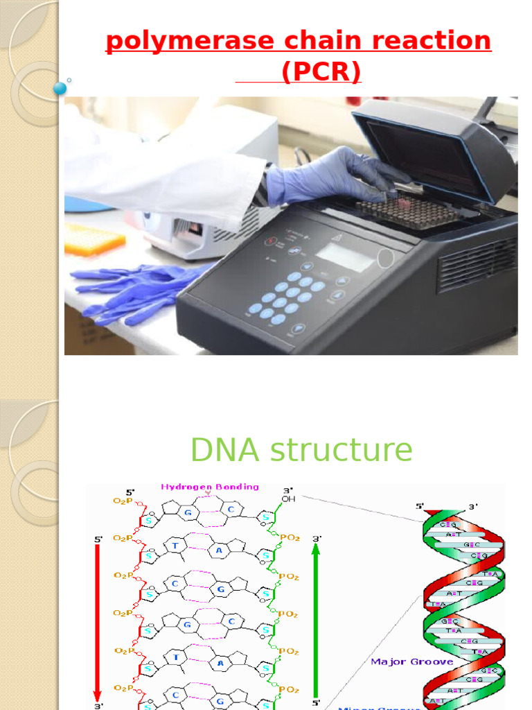 Polymerase Chain Reaction (PCR) | PDF | Polymerase Chain Reaction ...