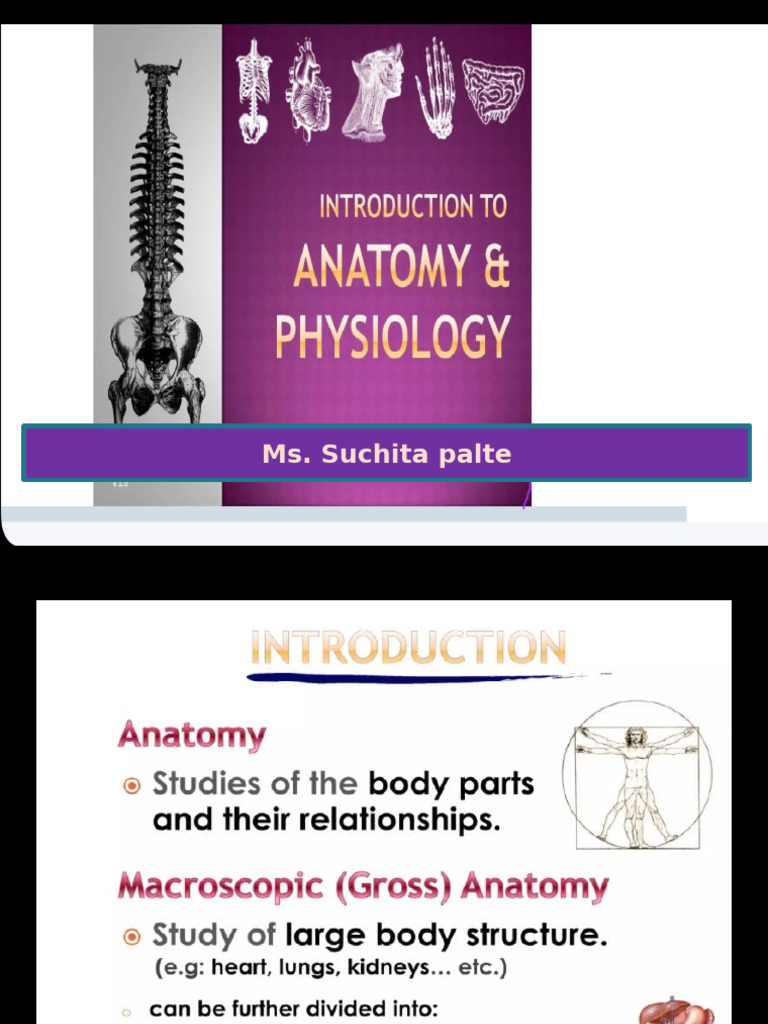 Ana Physio PPT - 1 | PDF