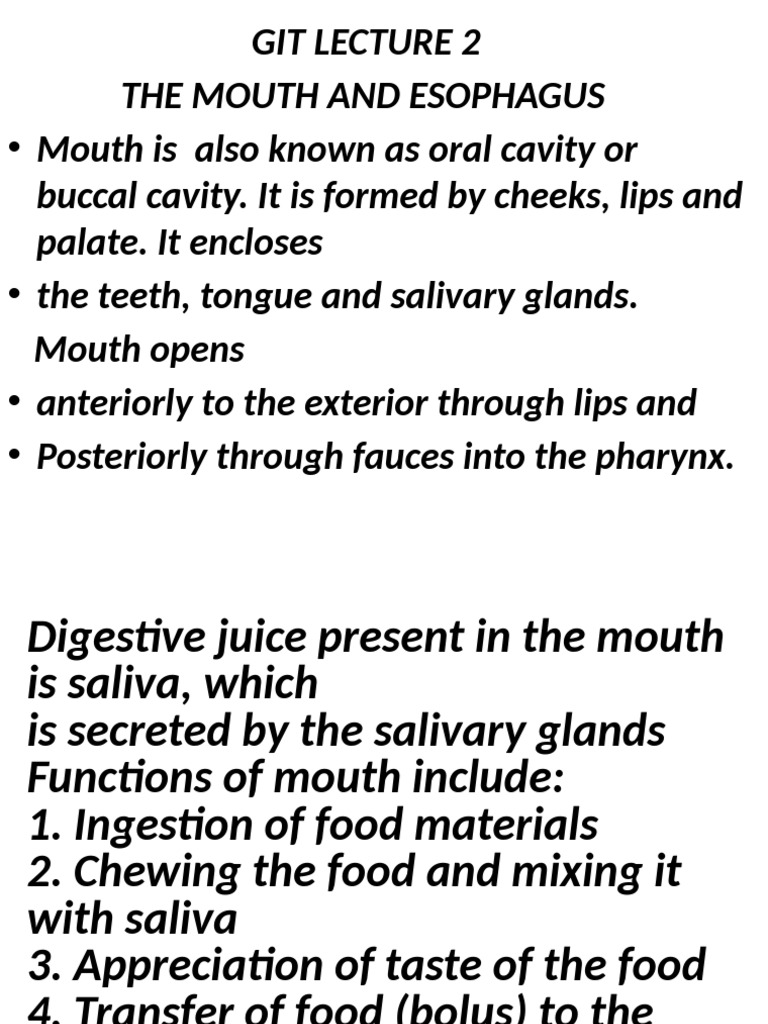 Git Lecture 2 On Mouth and Esophagus | PDF | Esophagus | Organ (Anatomy)