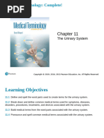 Urinary System Medical Terminology Guide | PDF | Kidney | Urinary System