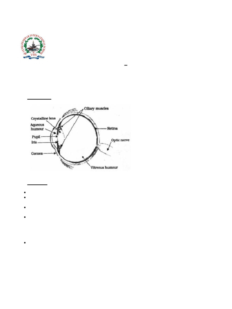 Notes of CH - 10 Human Eye and Colourful World Class - X | PDF | Eye ...