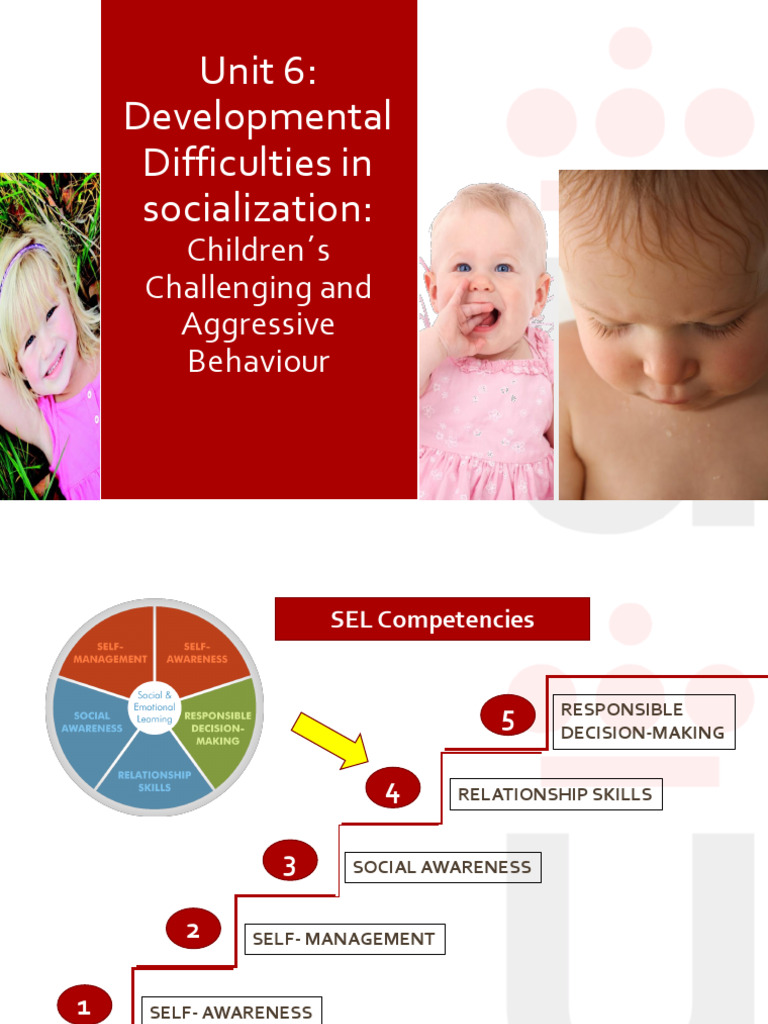 Social Emotional Unit 6 | PDF | Aggression | Behavior