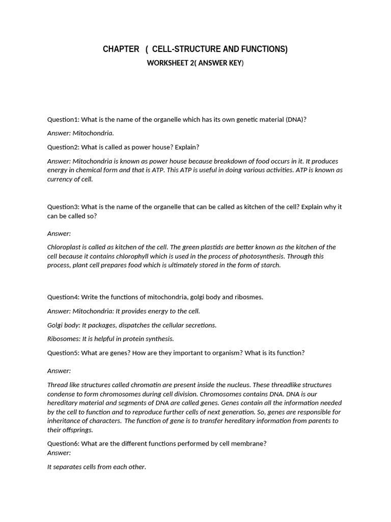 Chap Cell Answer Key Worksheet 2 | PDF | Cell (Biology) | Cell Nucleus