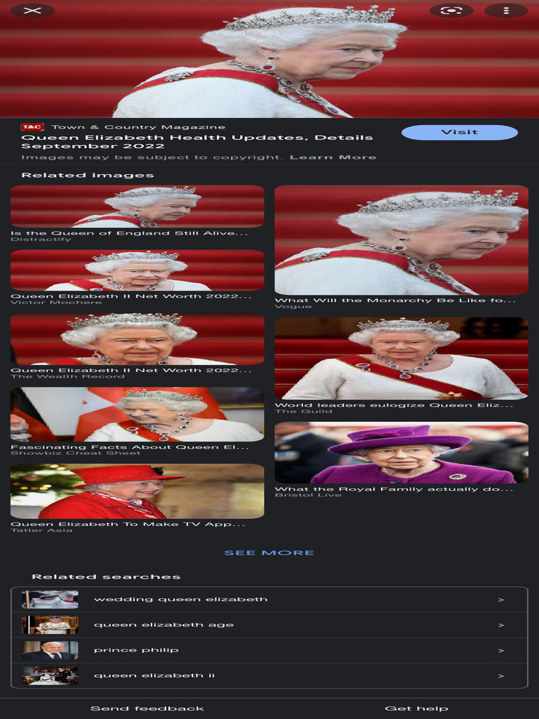 Queen Elizabeth Health Update | PDF