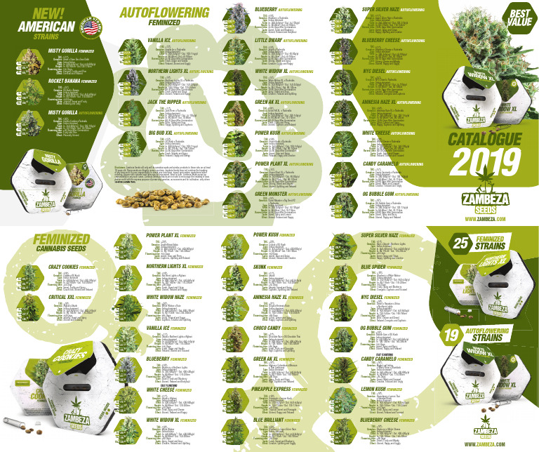 ZAMBEZA SEEDS Catalogue | PDF | Cannabis | Plant Reproduction
