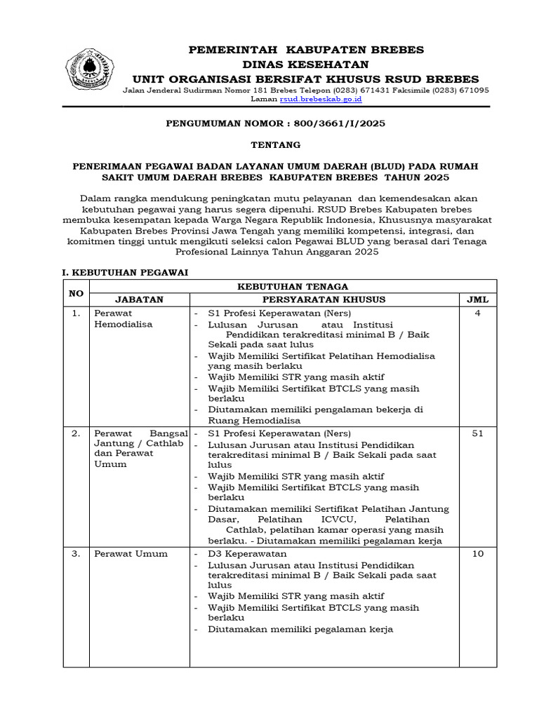 Pengumuman Rekrutmen BLUD 2025 | PDF