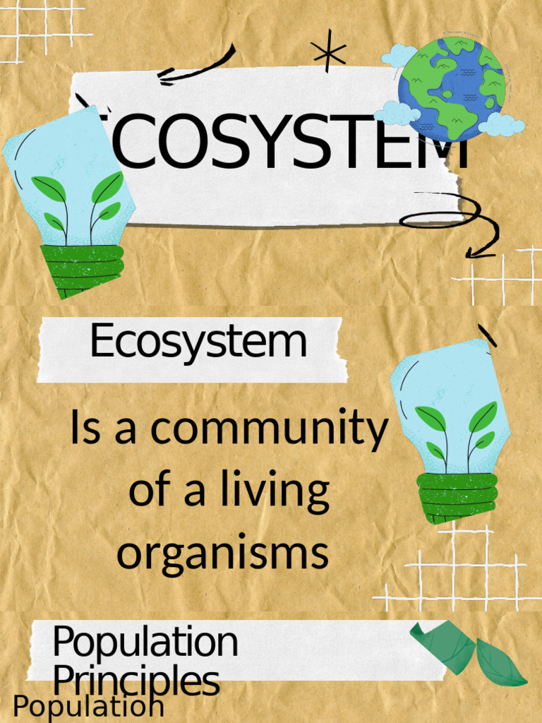Ecosystem Basics for Students | PDF | Biology | Organisms