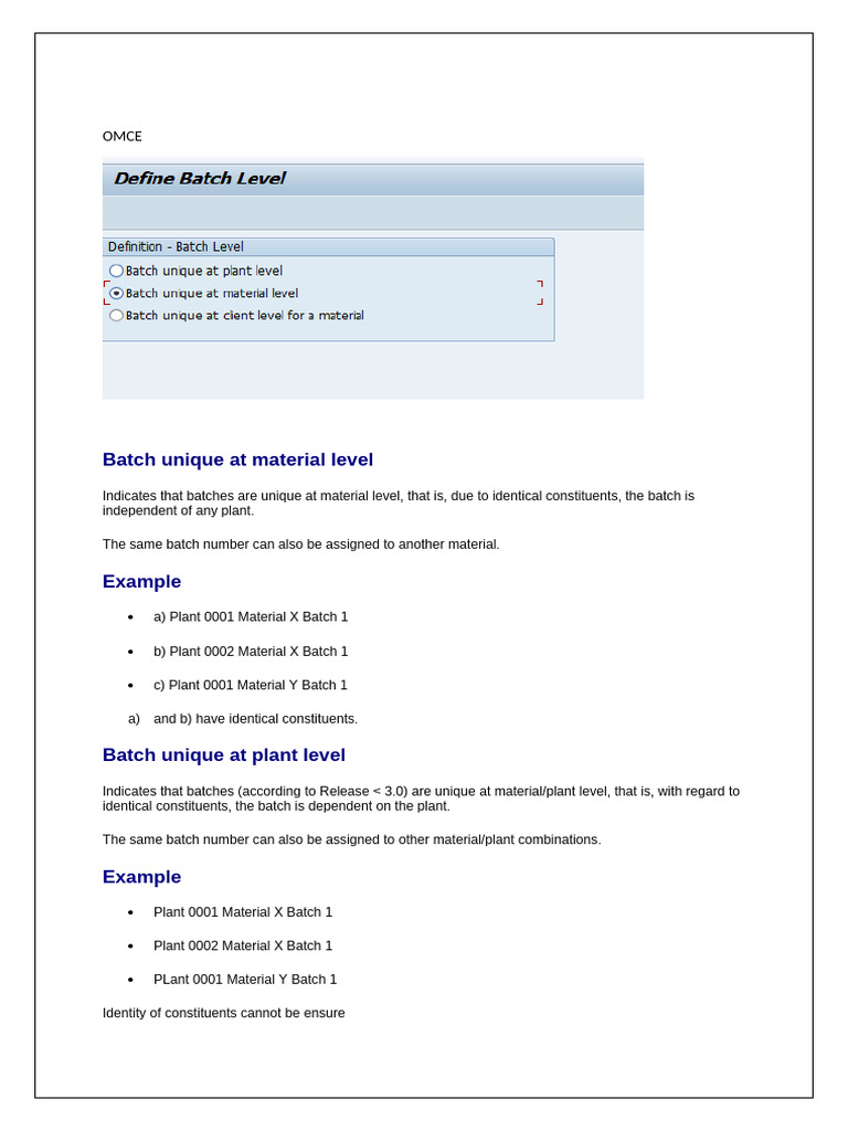 Batch Uniqueness in Material Management | PDF