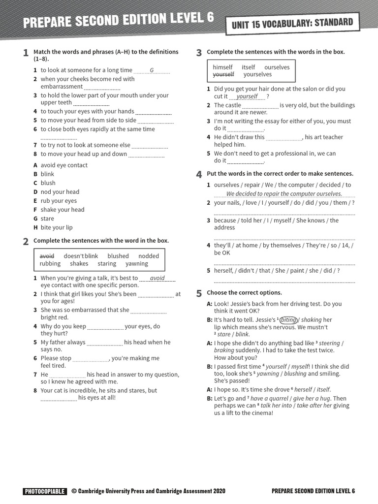 PREPARE 6 Vocabulary Standard Unit 15 | PDF