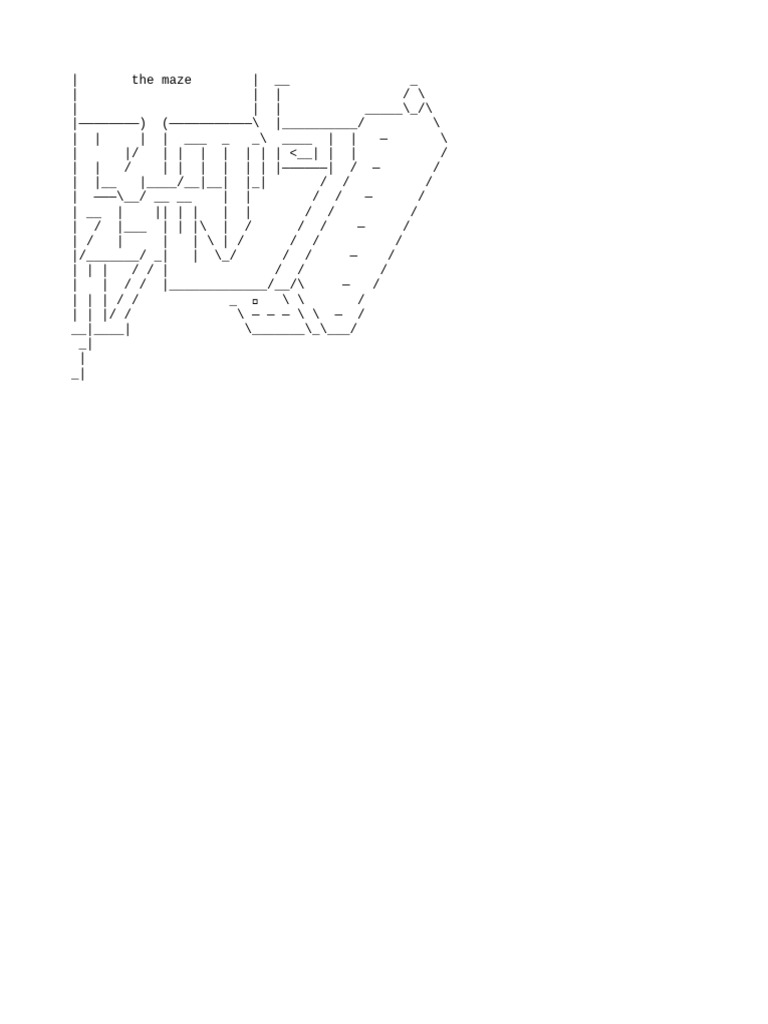 The Maze Overview | PDF