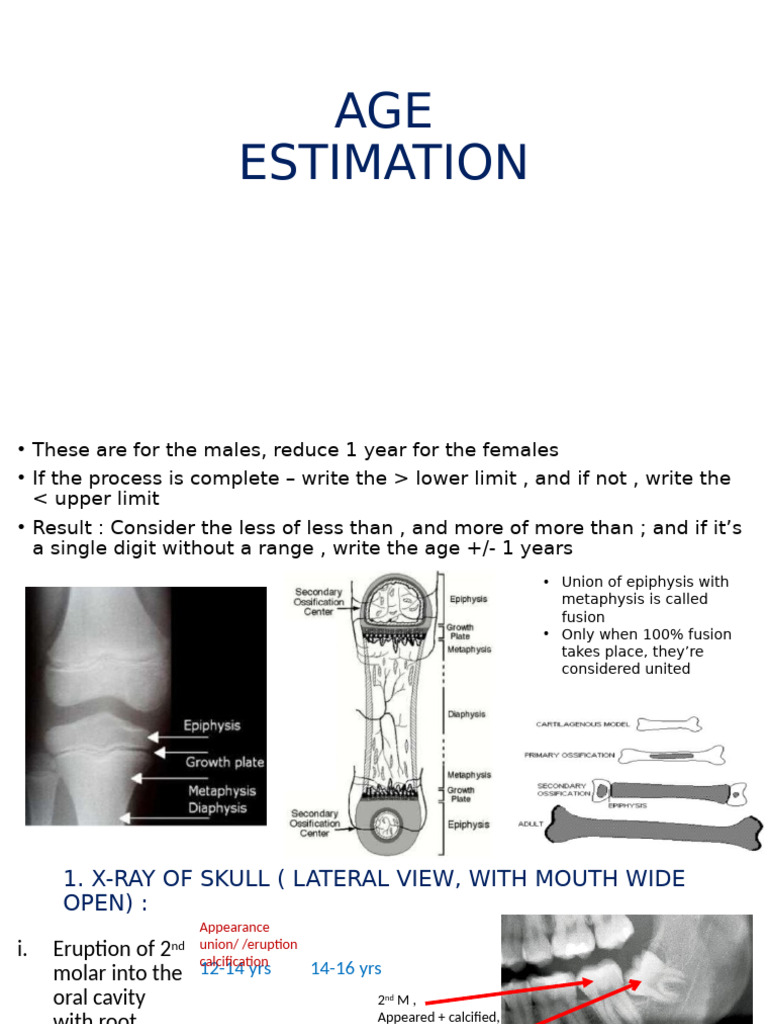 AGE Estimation | PDF
