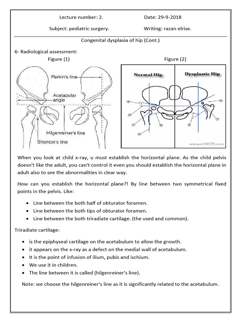 dr_tag_2 | PDF | Hip | Anatomical Terms Of Motion