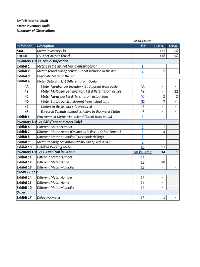 Meter Inventory Observations - CFAT | PDF | Business | Business Economics
