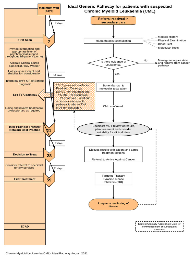 Chronic Myeloid Leukaemia CML | PDF | Leukemia | Cancer