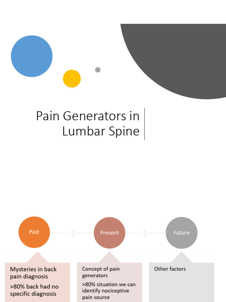 Pain Generators in Lower Back | PDF | Back Pain | Pain