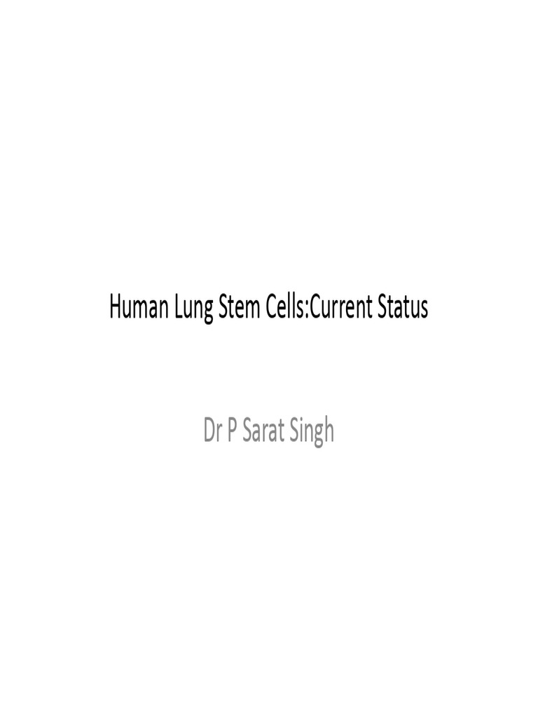 Human Lung Stem Cells Overview | PDF | Stem Cell | Cell Potency