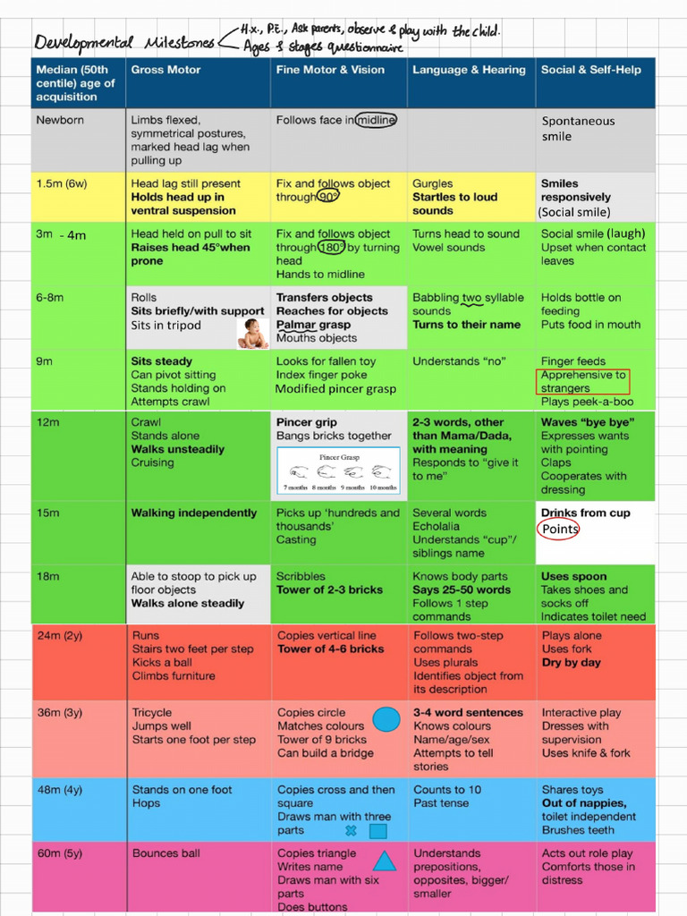 Developmental Milestones | PDF