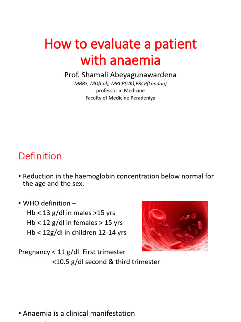 Anaemia.2024 Student | PDF | Anemia | Red Blood Cell