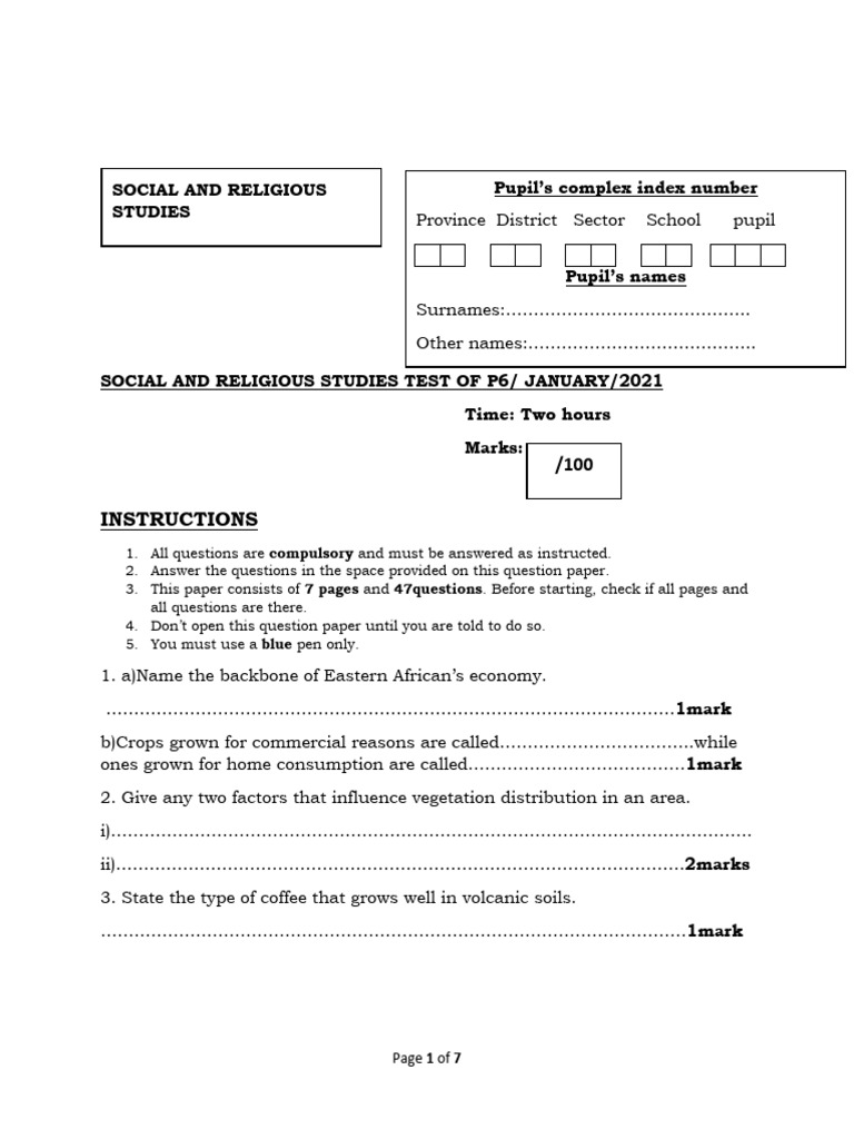 SRS Test P6 January 2021 PDF | PDF | Renewable Energy | Natural Environment