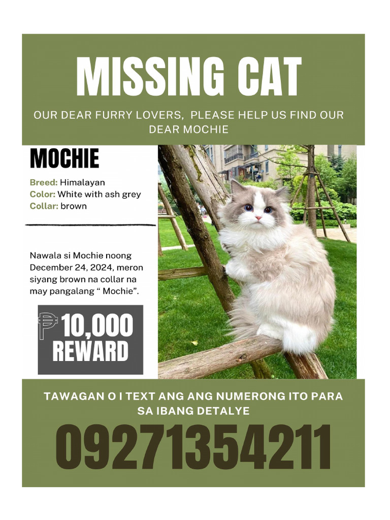 template missing | PDF