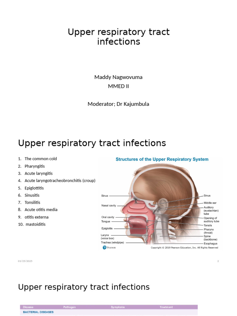 Upper Respiratory Infections Guide | PDF | Common Cold | Immune System