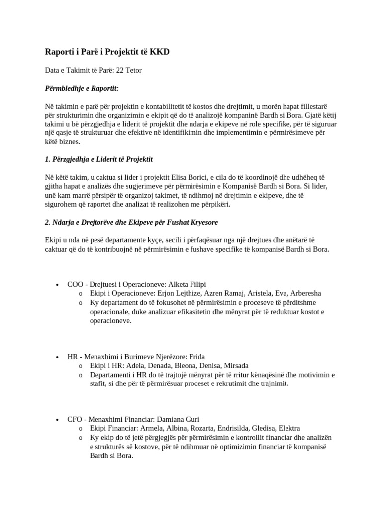 Raporti i Parë i Projektit të KKD | PDF