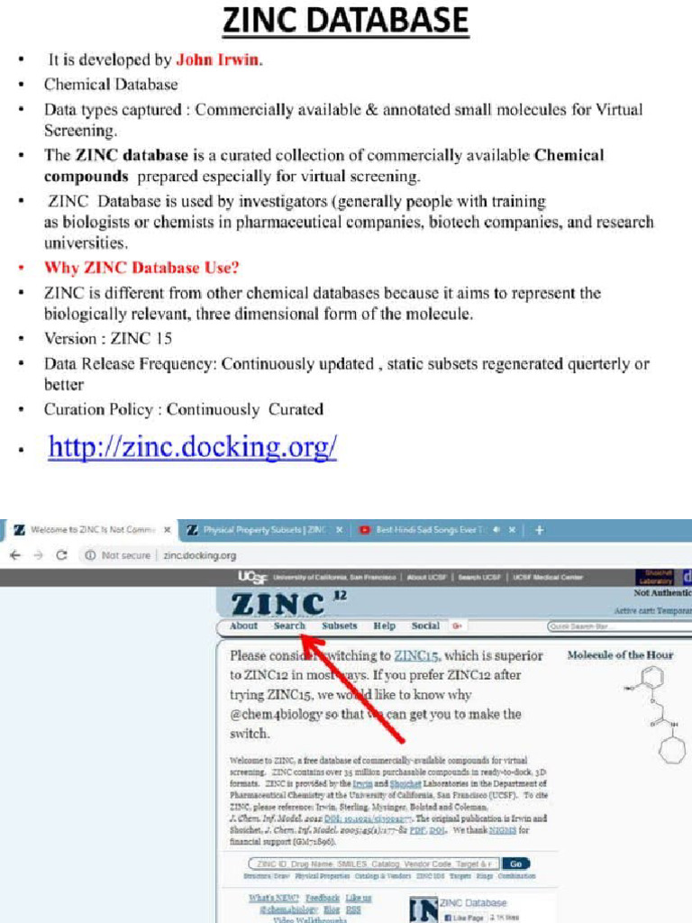 4. ZINC Database | PDF