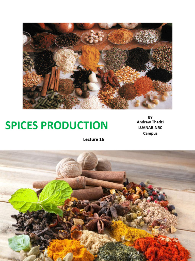 Spices Production | PDF