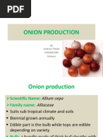 Farmers Handbook for Onion Production | PDF | Onion | Branches Of Botany