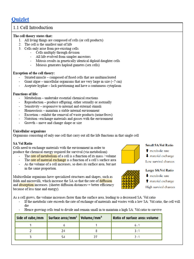 1 - Cell Biology DP Biology Unit 1 Notes | PDF | Cell Membrane | Mitosis