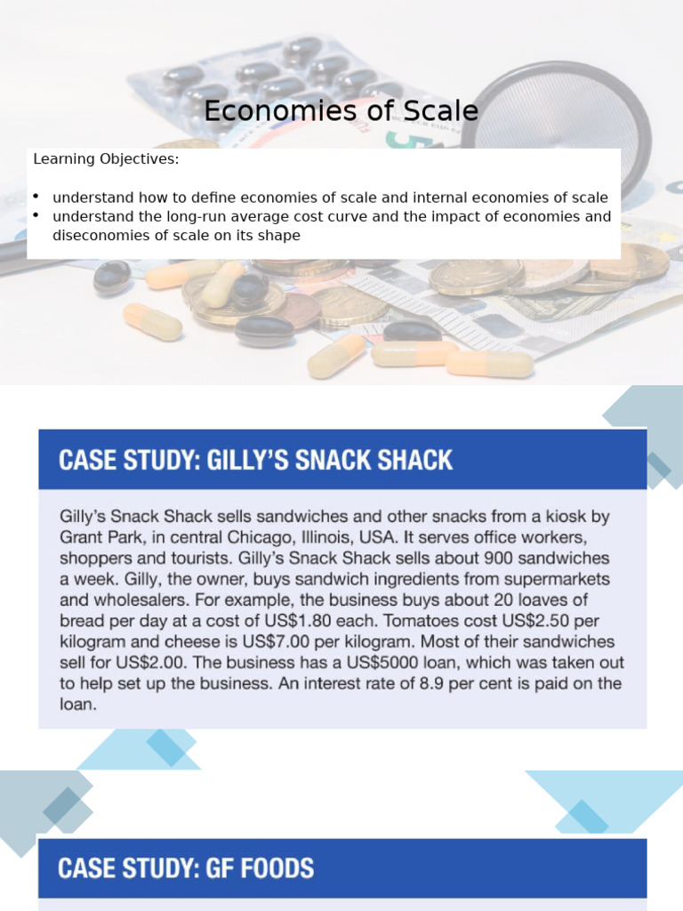 Economies of Scale | PDF
