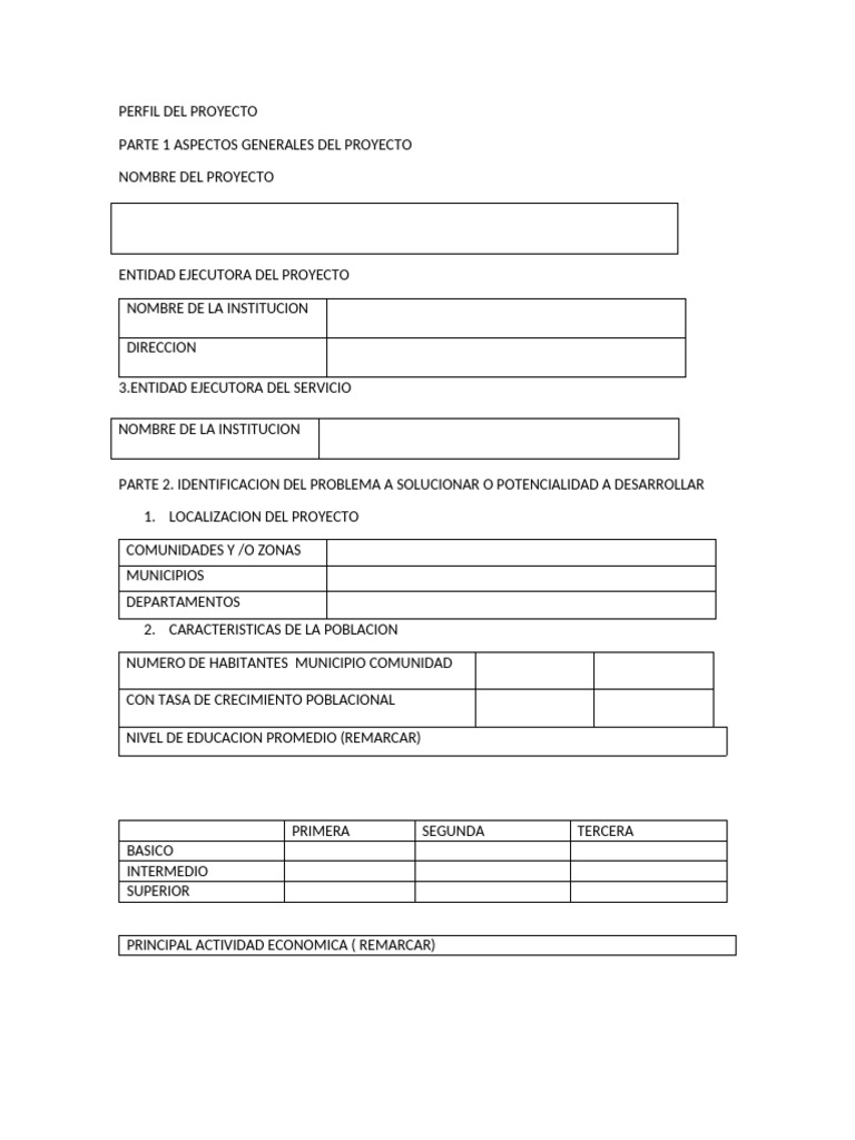 Poa Perfil Delproyecto Gestiones | PDF