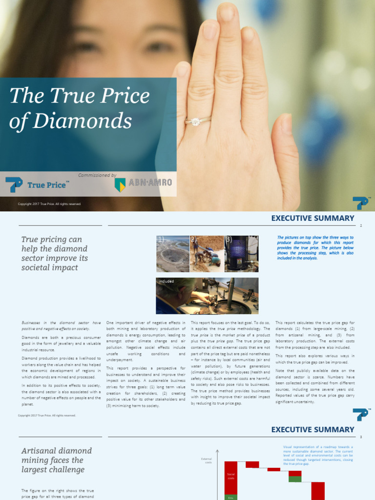 Report The True Price of Diamonds | PDF | Sustainability | Externality