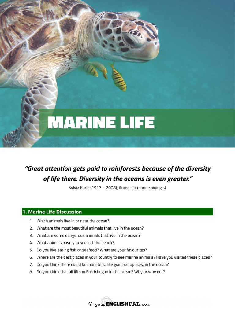Your English Pal ESL Lesson Plan Marine Life v2 | PDF | Sea Turtle | Turtle