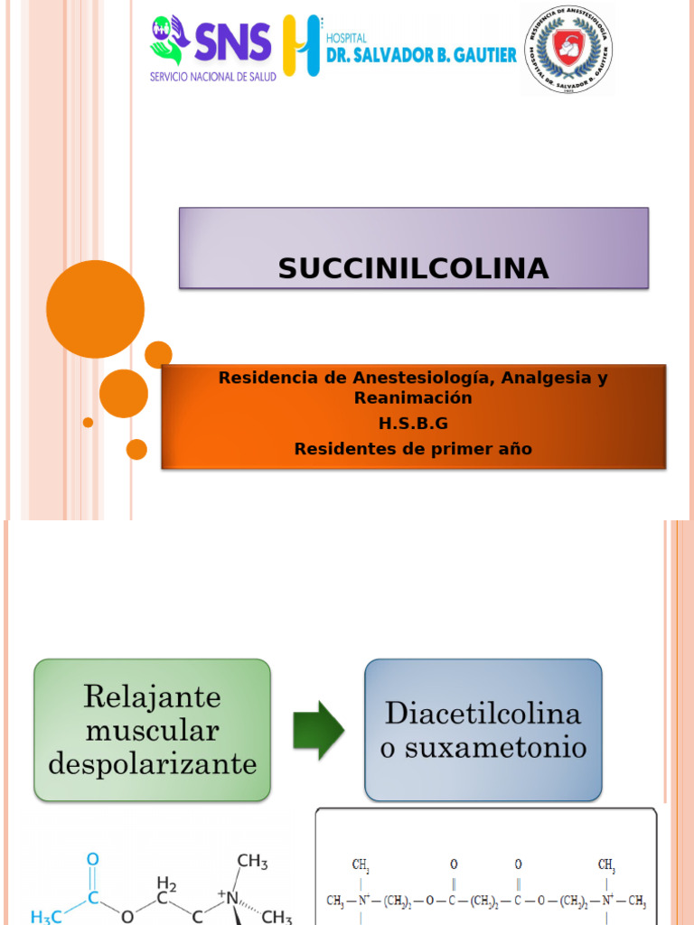 Succinilcolina: Mecanismo y Consideraciones | PDF | Acetilcolina | Drogas