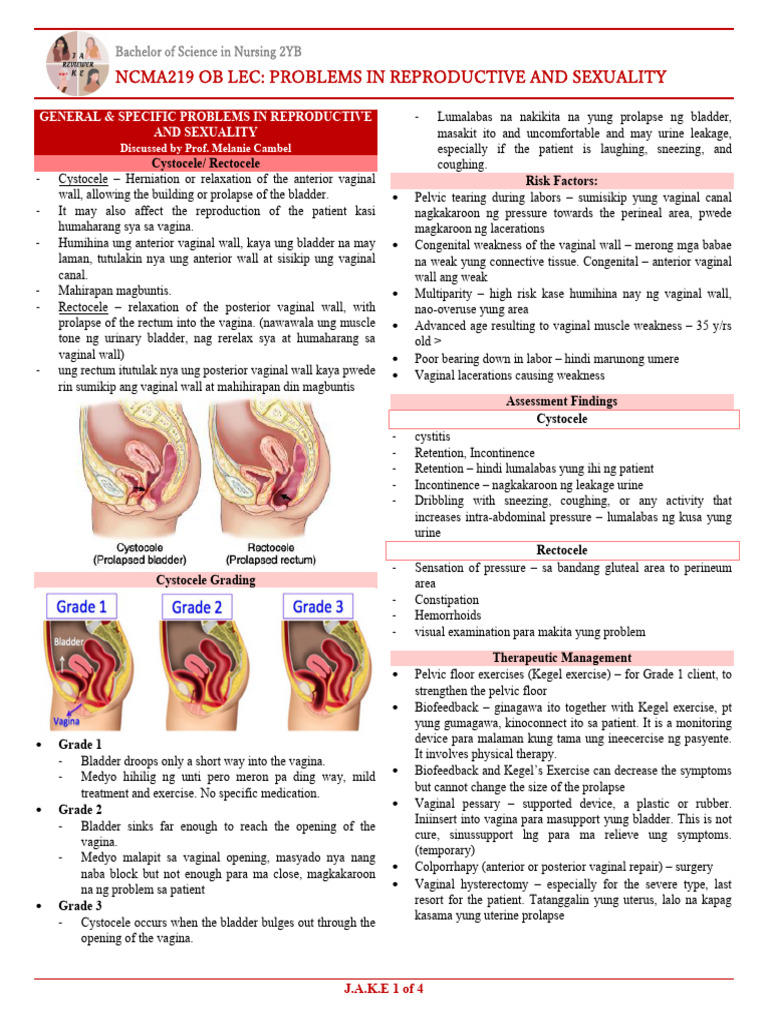 Reproductive Health Issues & Management | PDF | Urinary Incontinence | Vagina