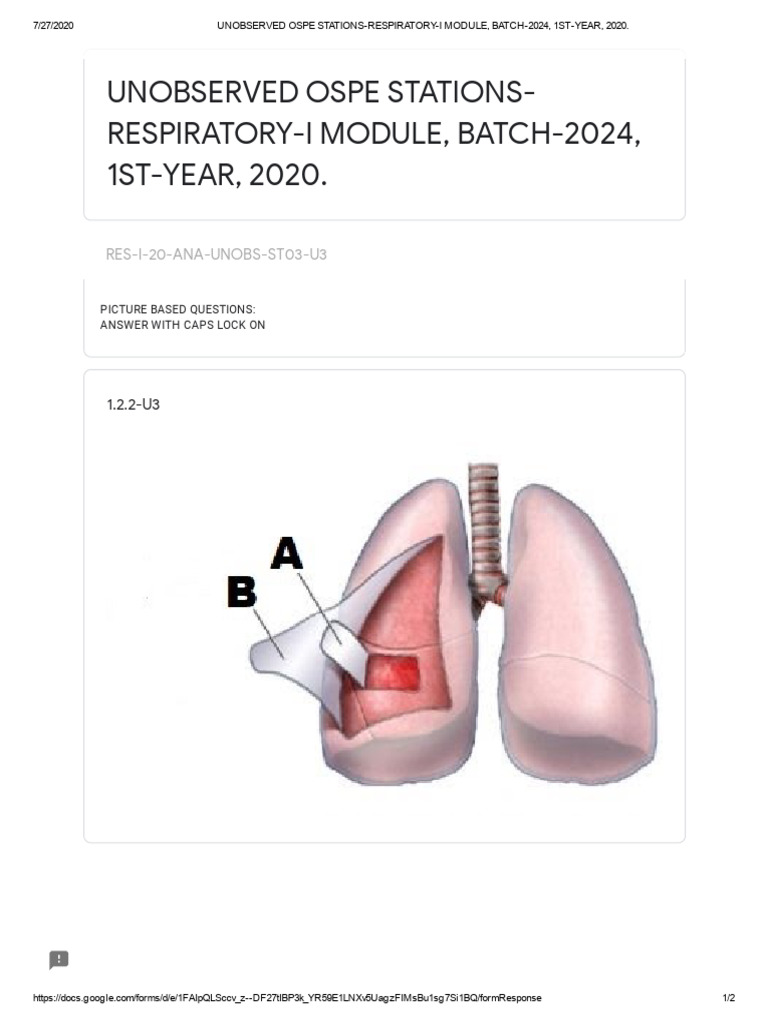 3rd Station UNOBSERVED OSPE STATIONS-RESPIRATORY-I MODULE, BATCH-2024, 1ST-YEAR, 2020 | PDF