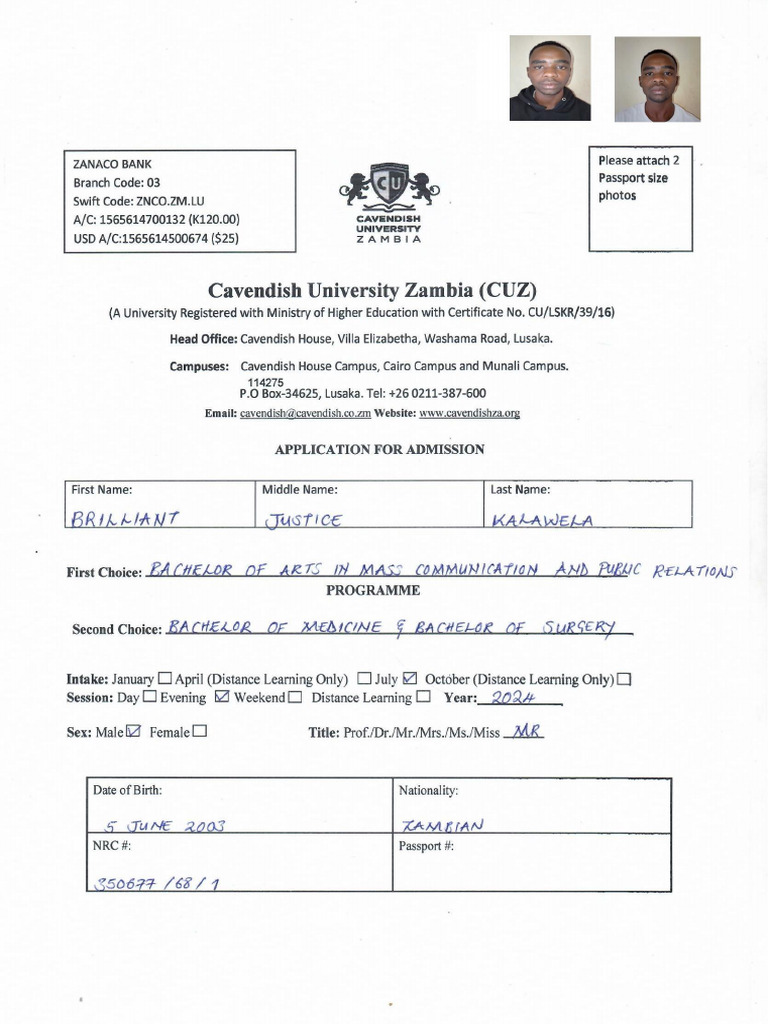 Brilliant's Application | PDF